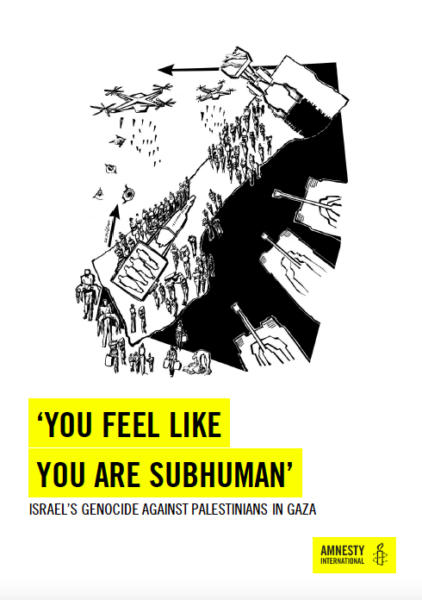 Amnesty International investigation concludes Israel is committing ...