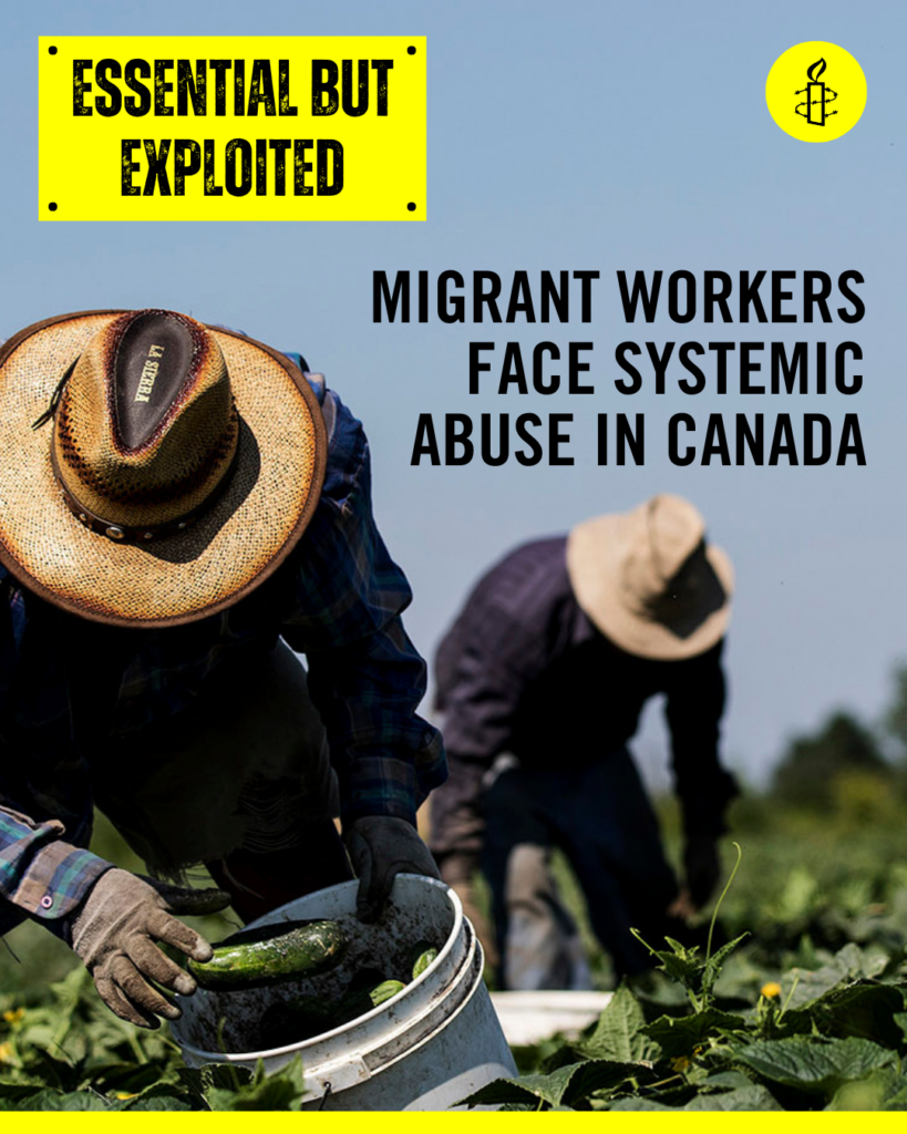 Online Petitions | Amnesty International Canada