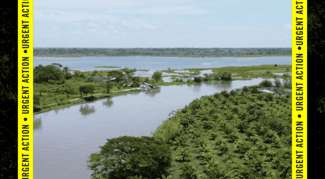 Canada must withdraw from Safe Third Country Agreement with the United ...